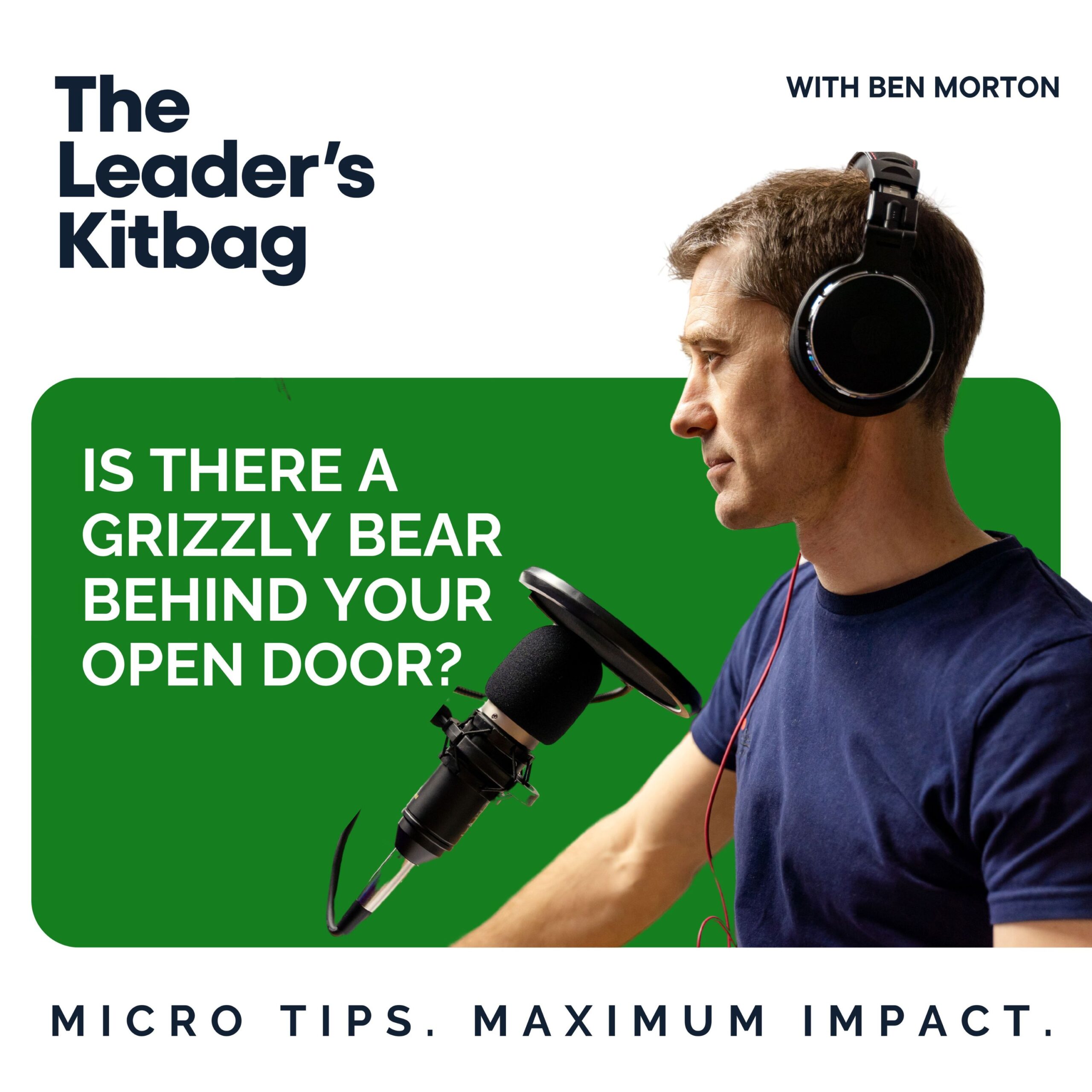 Is There a Grizzly Bear Behind Your Open Door - Ben Morton